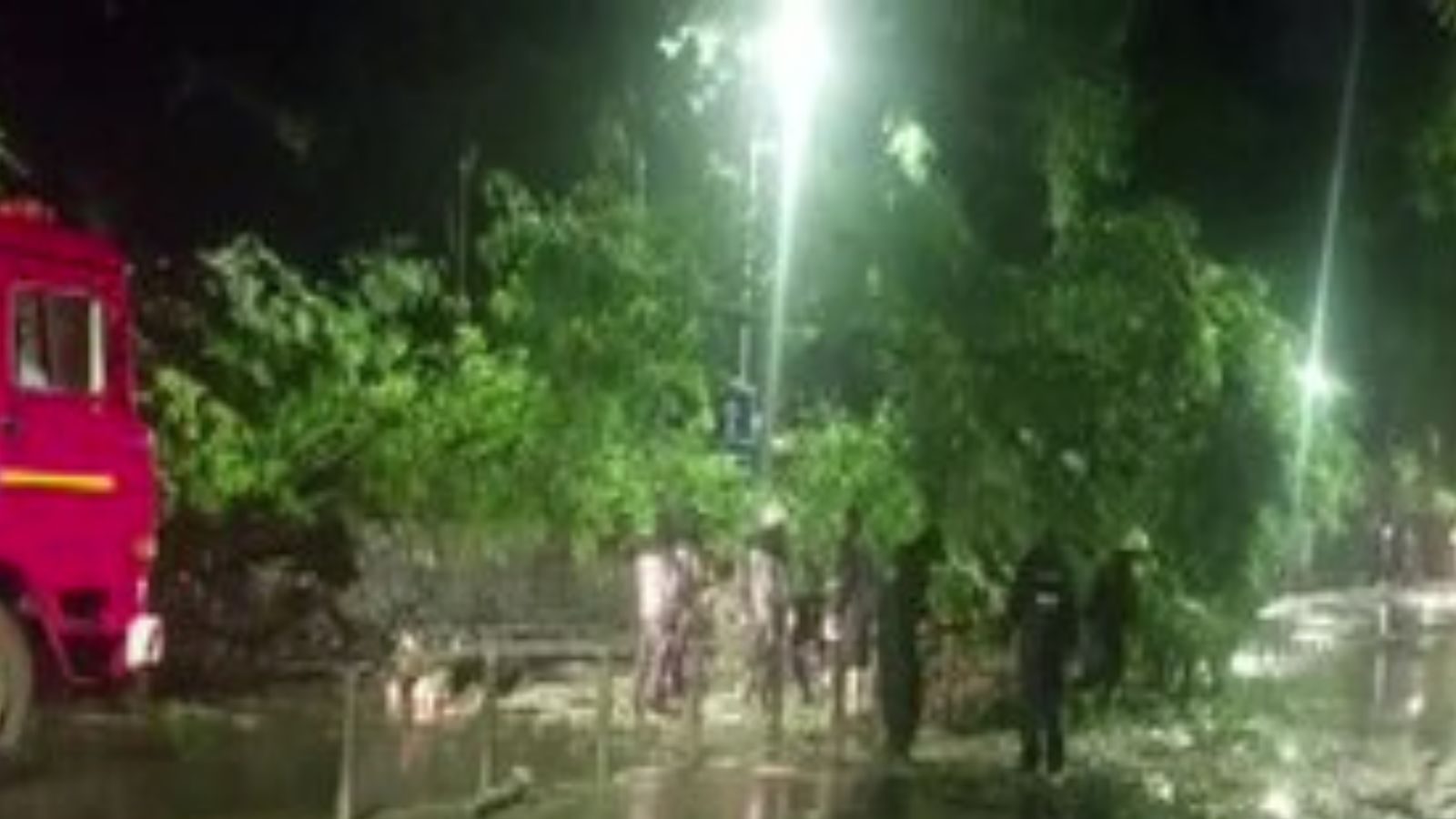 Weather News Updates: Trees Uprooted, Waterlogging in Pune; Mumbai Sees ...