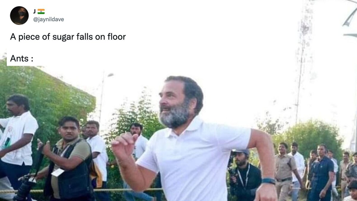 Rahul Gandhi’s 'Morning Run' Spawns Hilarious Memes on the Internet ...