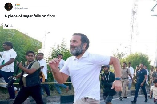 Rahul Gandhi’s 'Morning Run' Spawns Hilarious Memes on the Internet ...