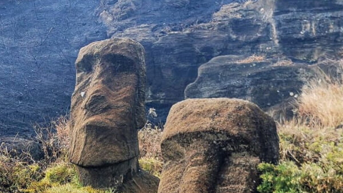Famous Moai Status Charred in Easter Island Blaze - News18