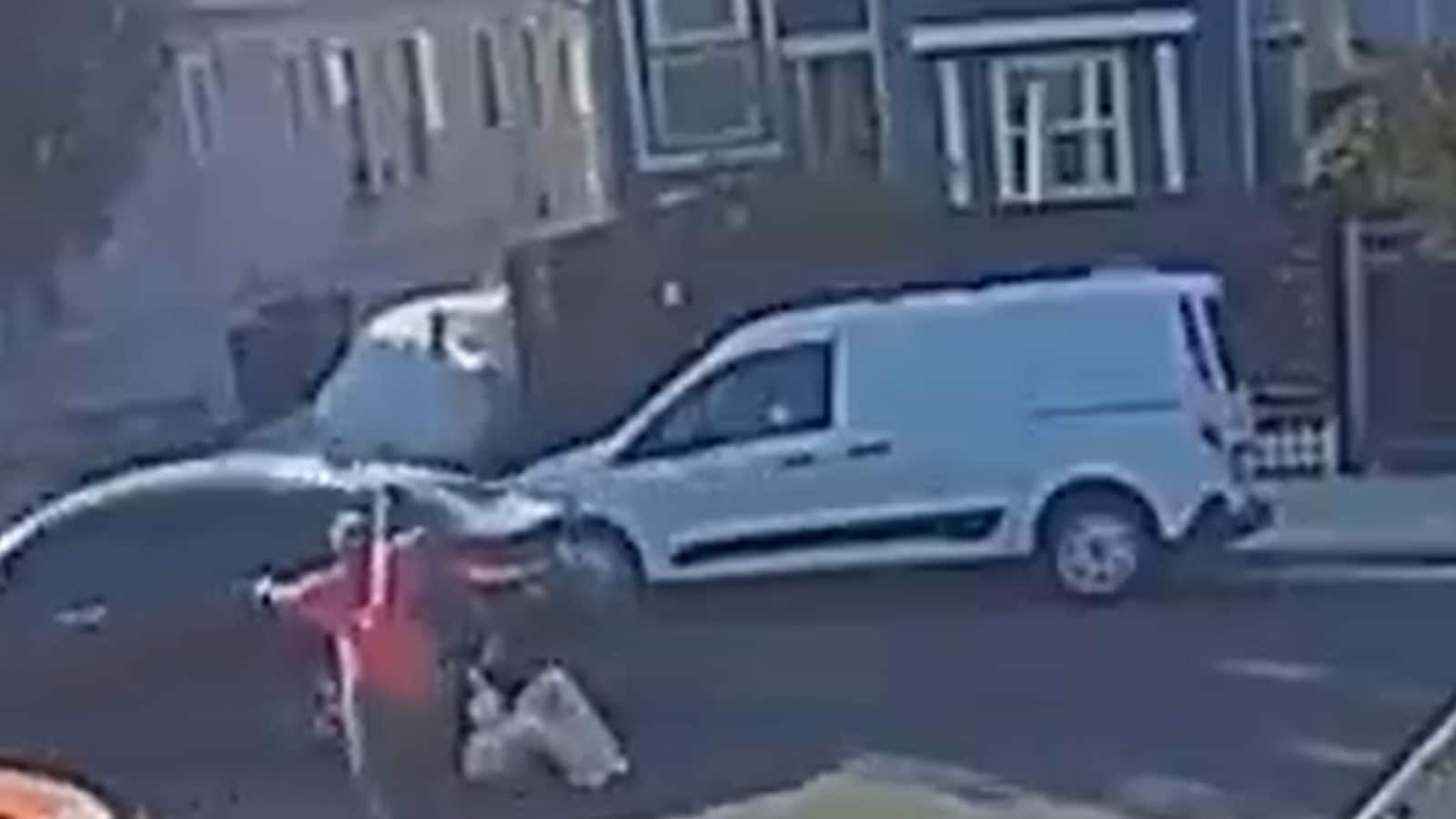 76-year-old California Woman Uses Her Walking Stick to Avert Robbery ...