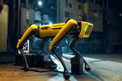 China's Younger Generation is Taking Robot Dogs Out on Walks in Growing ...