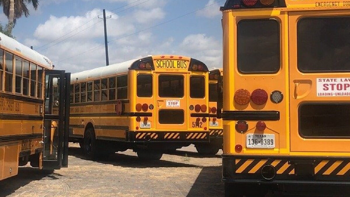 Meghalaya CM Launches Shared School Bus System, Agriculture Response ...