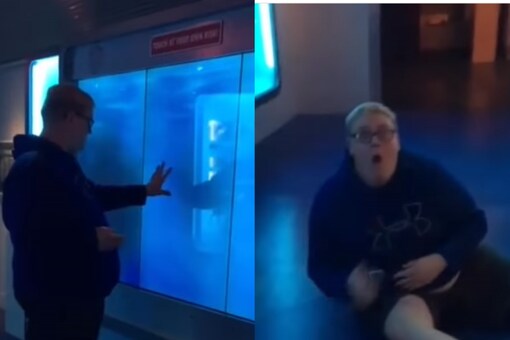 WATCH: Washington Museum Shark Tank Prank Leaves Visitor Startled ...
