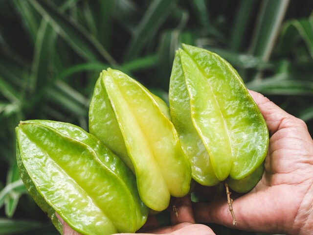 From Weight Loss to Cardiovascular Health: 6 Magical Health Benefits of ...
