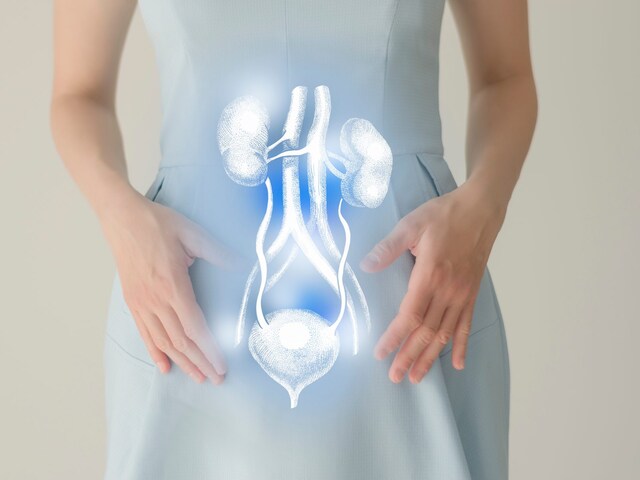 A Burning Sensation While Peeing Or Hints Of Blood In The Urine Can ...