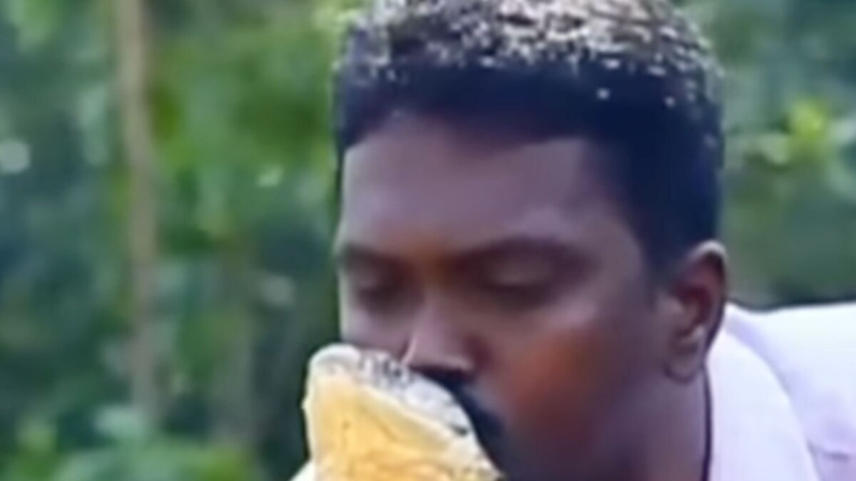 WATCH: Man Kisses King Cobra on Forehead, Internet Petrified - News18