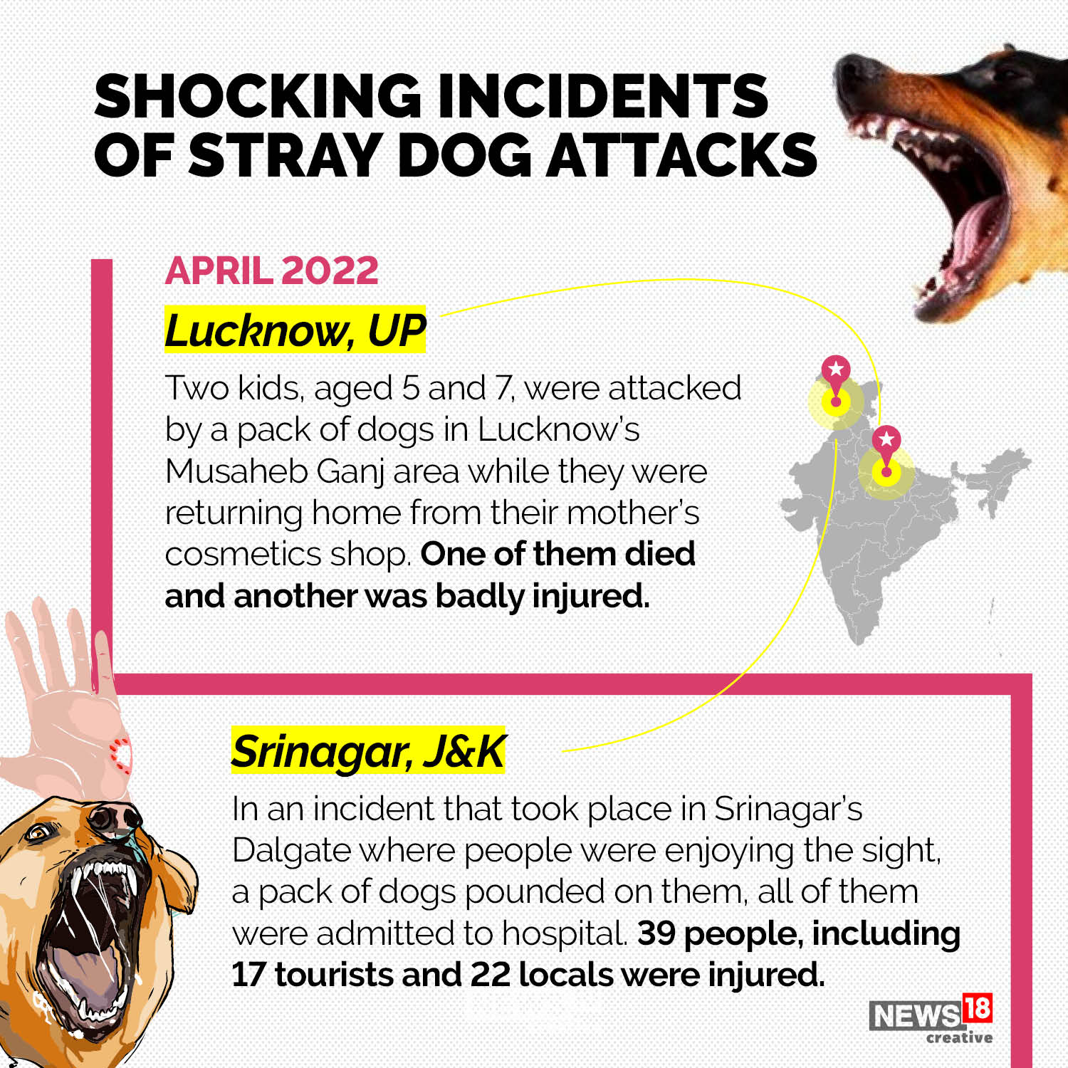 Dog Dilemma: Complete Demographics of Stray Canines and Animal Bite ...