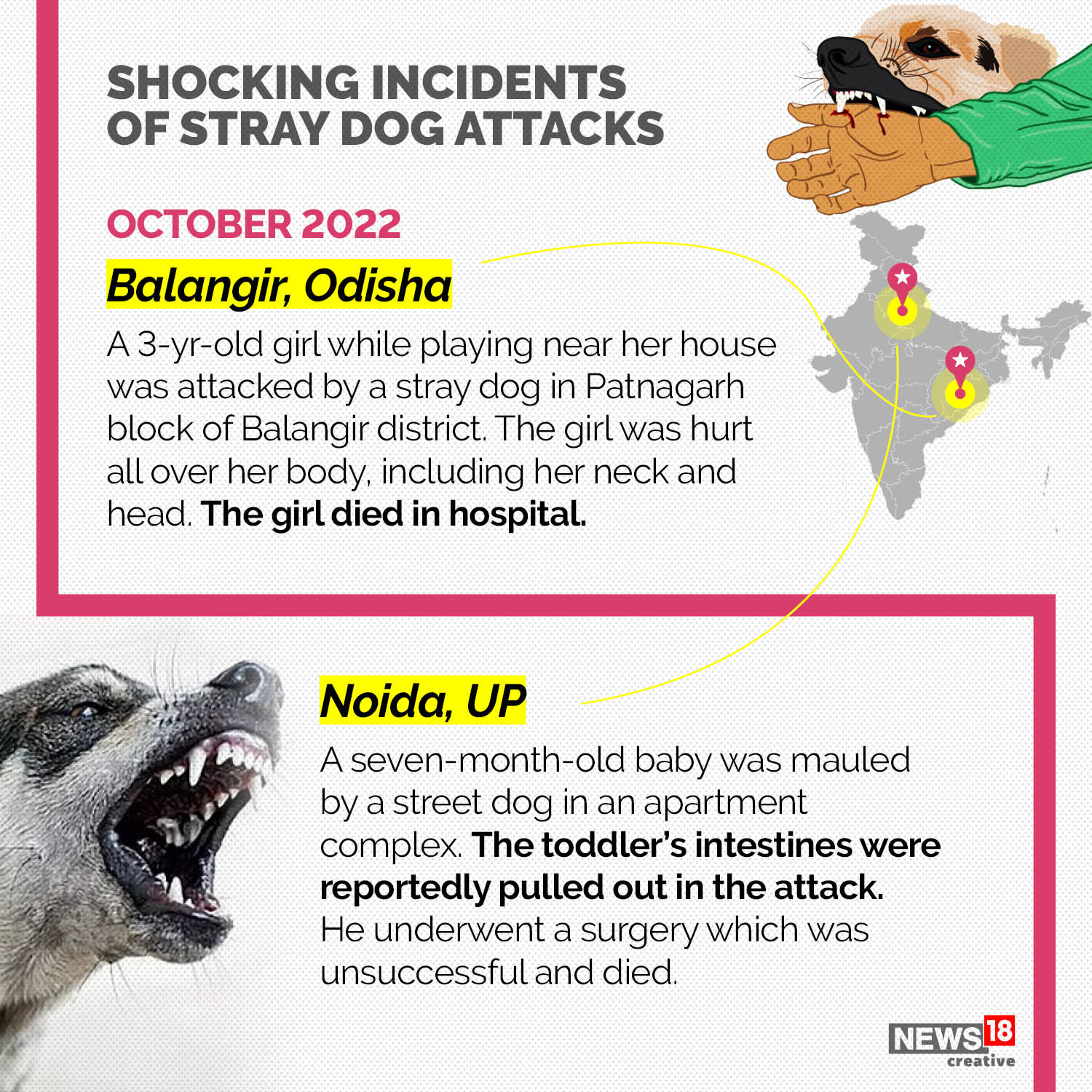 Dog Dilemma: Complete Demographics of Stray Canines and Animal Bite ...