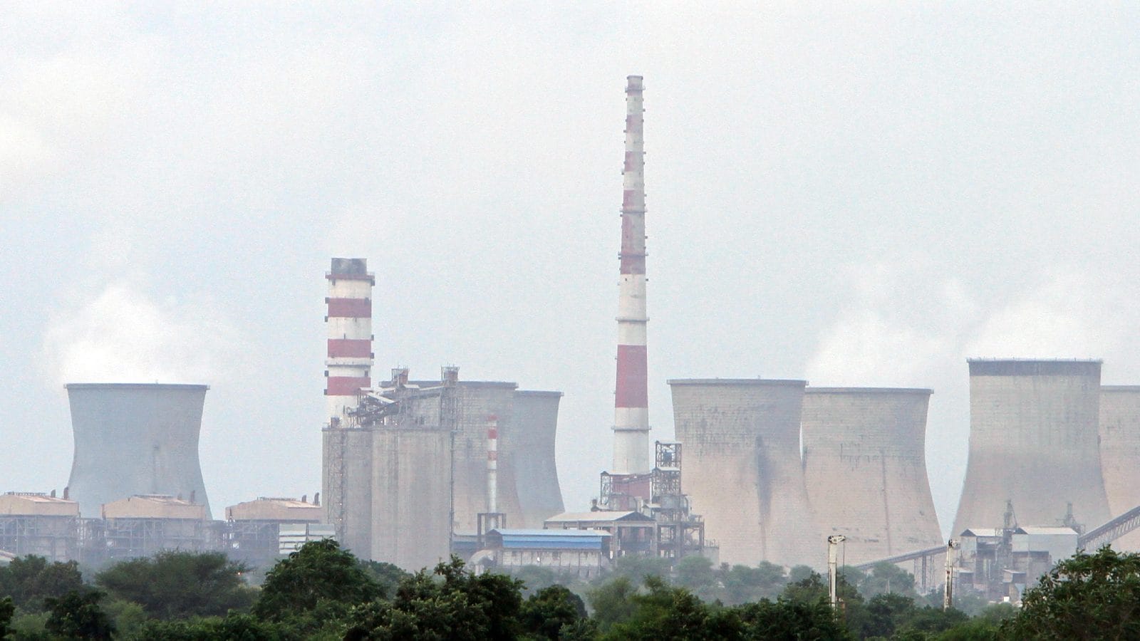 Centre Announces Rs 50 Crore Grant to Set Up Units to Convert Paddy ...