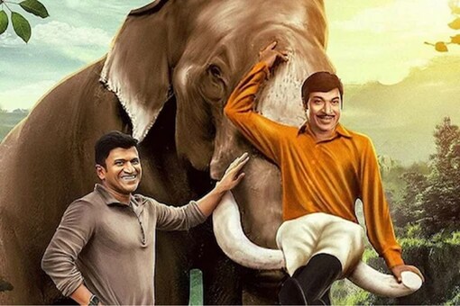 Puneeth Rajkumar Fans Go Festive With Gandhada Gudi's Release; How They ...