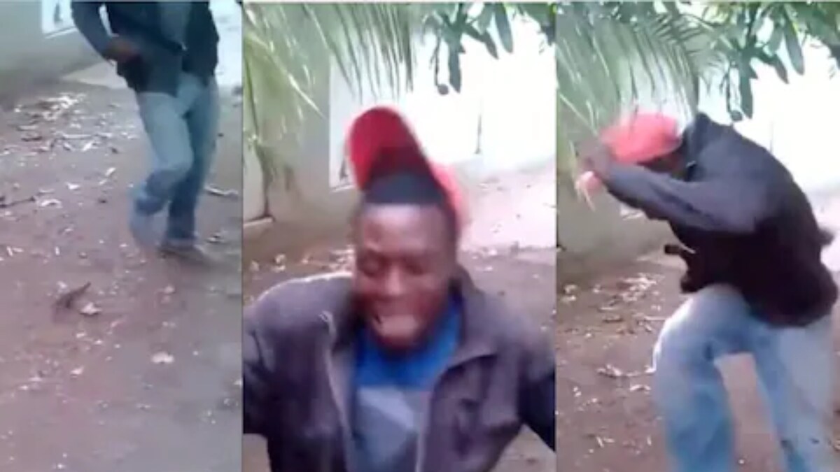 Friends Scare Man With Dummy Snake, His Reaction Leaves Internet in ...