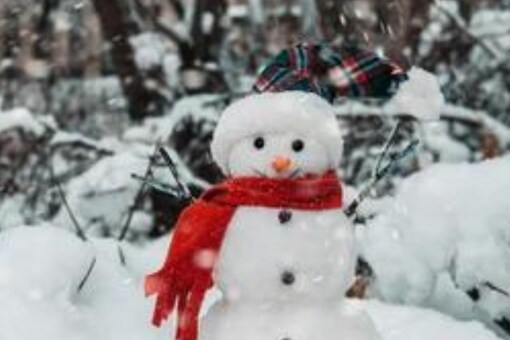 Bhutan To Launch Its First-Ever International Snowman Race - News18