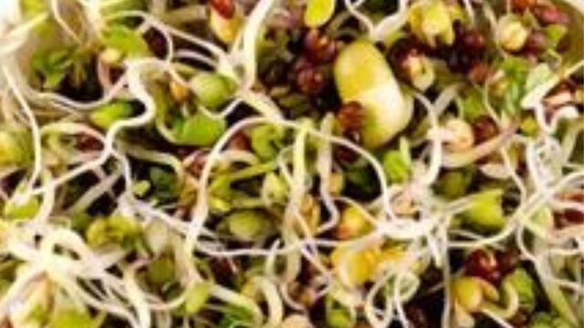 Rich Fiber Source To Protein Powerhouse; Here Are The Health Benefits ...