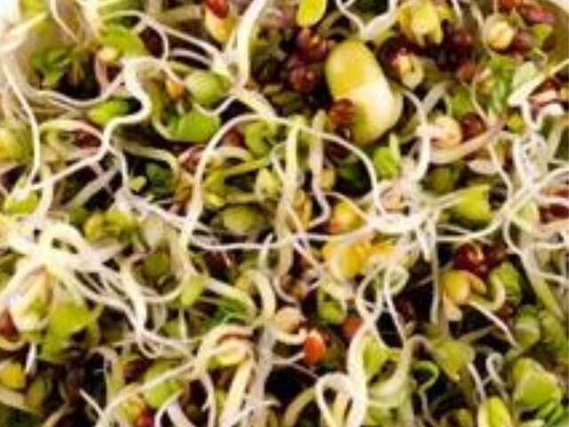 Rich Fiber Source To Protein Powerhouse; Here Are The Health Benefits ...