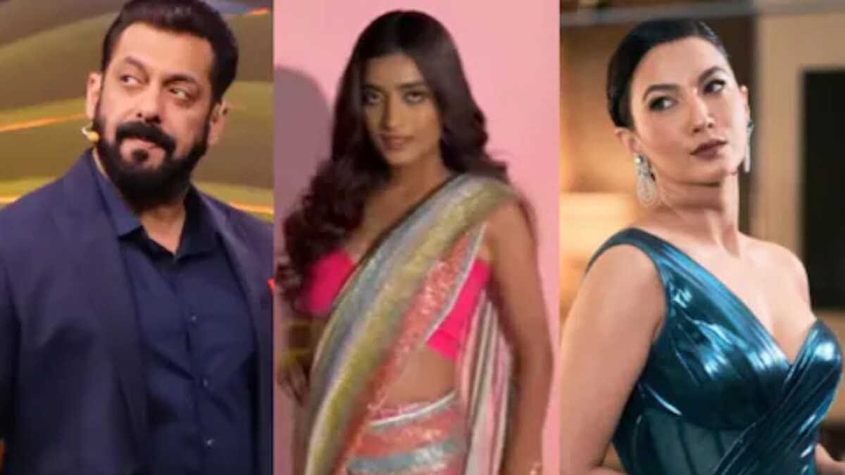 Bigg Boss 16: Manya Singh Draws Flak For 'TV Actress' Comment; Know ...