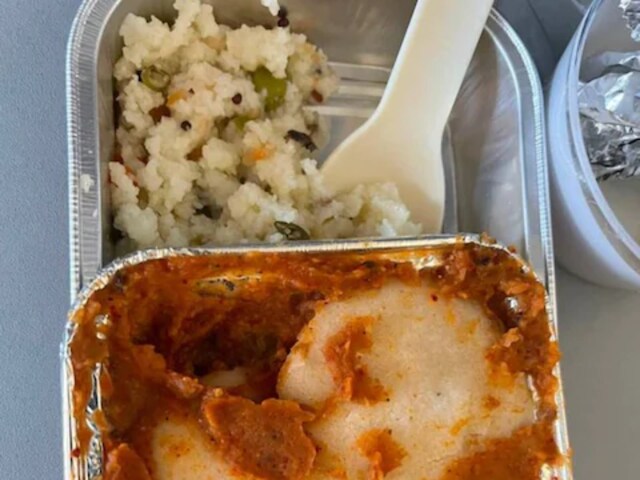 Man Claims Cockroach on Vistara Flight Meal, Airline Says It's Ginger ...