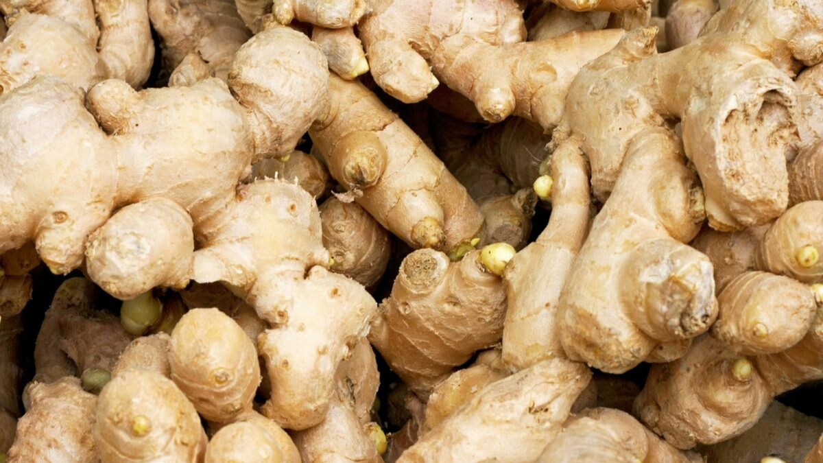 Real Vs Fake Ginger: Here's How You Differentiate The Two - News18
