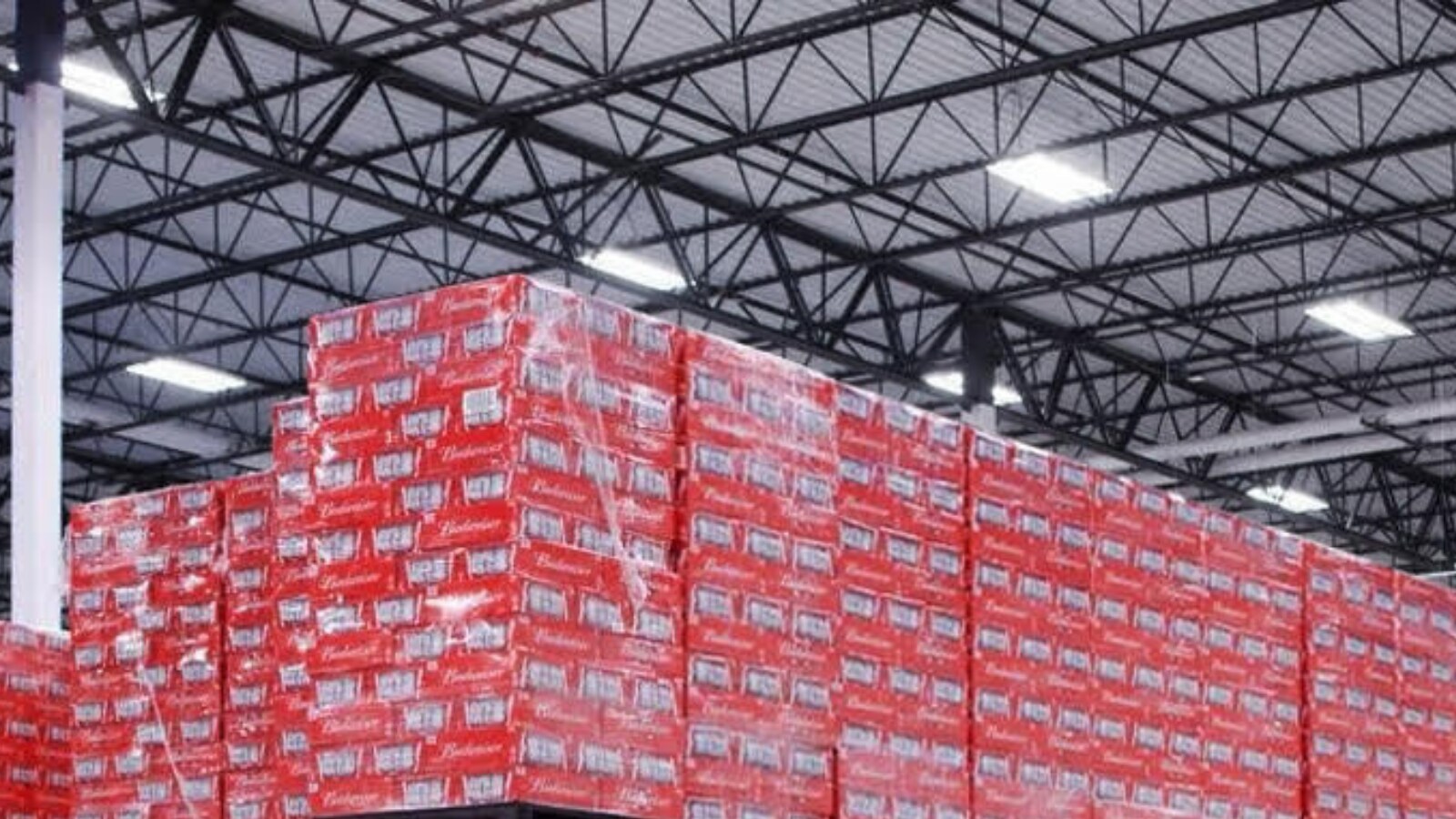 FIFA World Cup 2022: Budweiser to Give Beer Stock to Winning Country After Alcohol Ban in Qatar ...