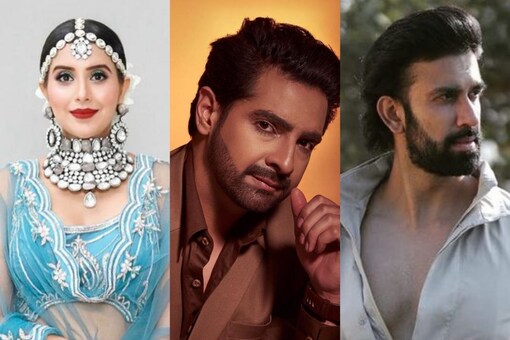 Rajeev Sen Accuses Charu Asopa of Having Affair With Karan Mehra, Says 'I Will Never Forgive Her ...