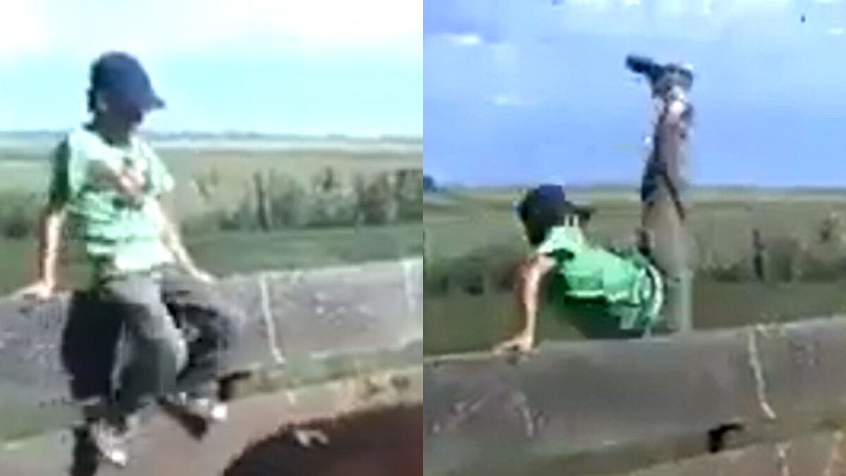 WATCH: Kid Receives Instant Karma For Kicking a Cow - News18