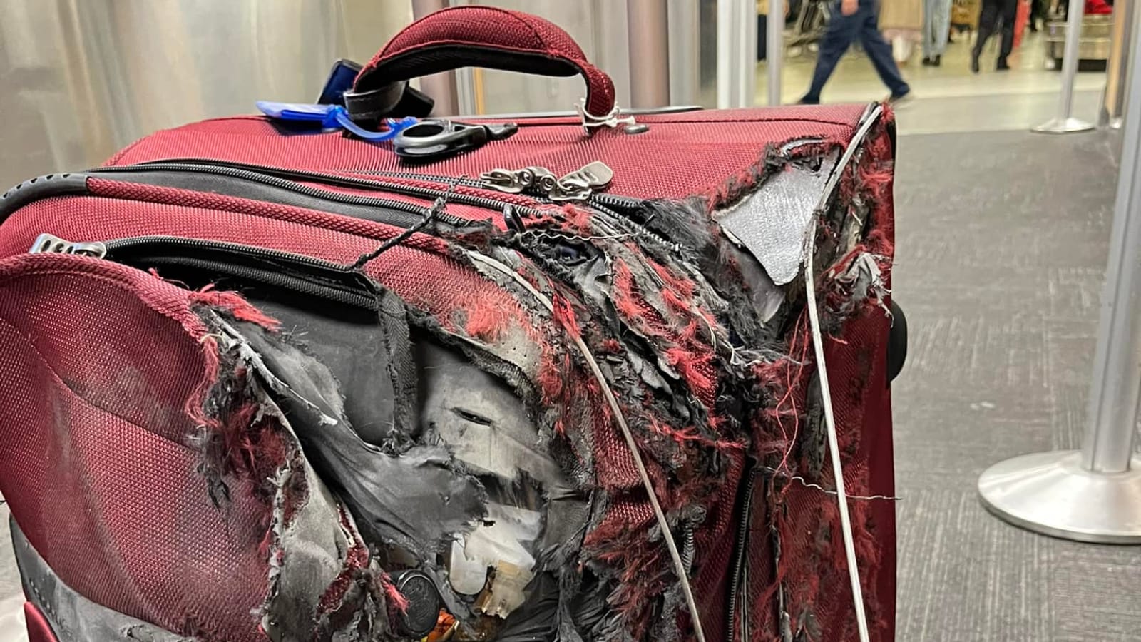 Viral Image of Completely Tattered Suitcase Makes People Wonder What ...