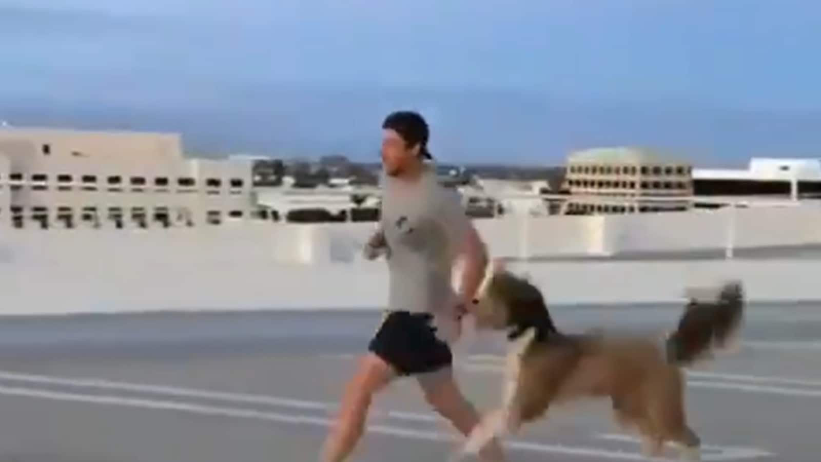 Video of Pet Dog Exercising With Owner Will Take Your Monday Blues Away ...