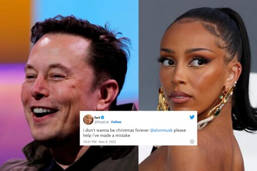 Doja Cat Changes Twitter Username to 'Fart' After Elon Musk Helps Her ...