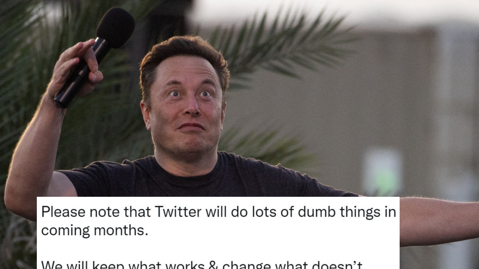 Elon Musk Says Twitter Will Do 'Dumb Things' in Future, Users Go Wild ...