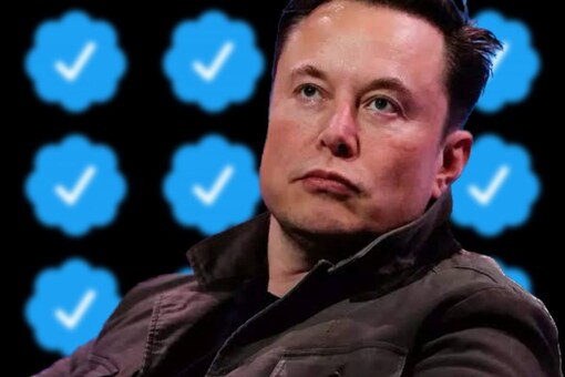Elon Musk Poll Results Out, Over 50 Percent Want Him To Step Down As ...