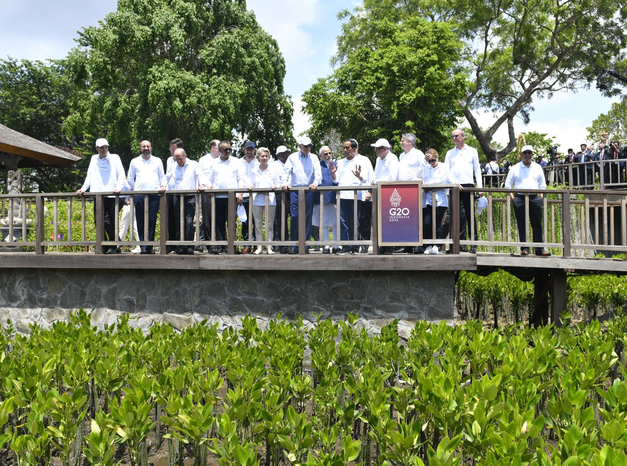 PM Modi Visits Mangrove Forest, Plants Trees with Other World Leaders ...