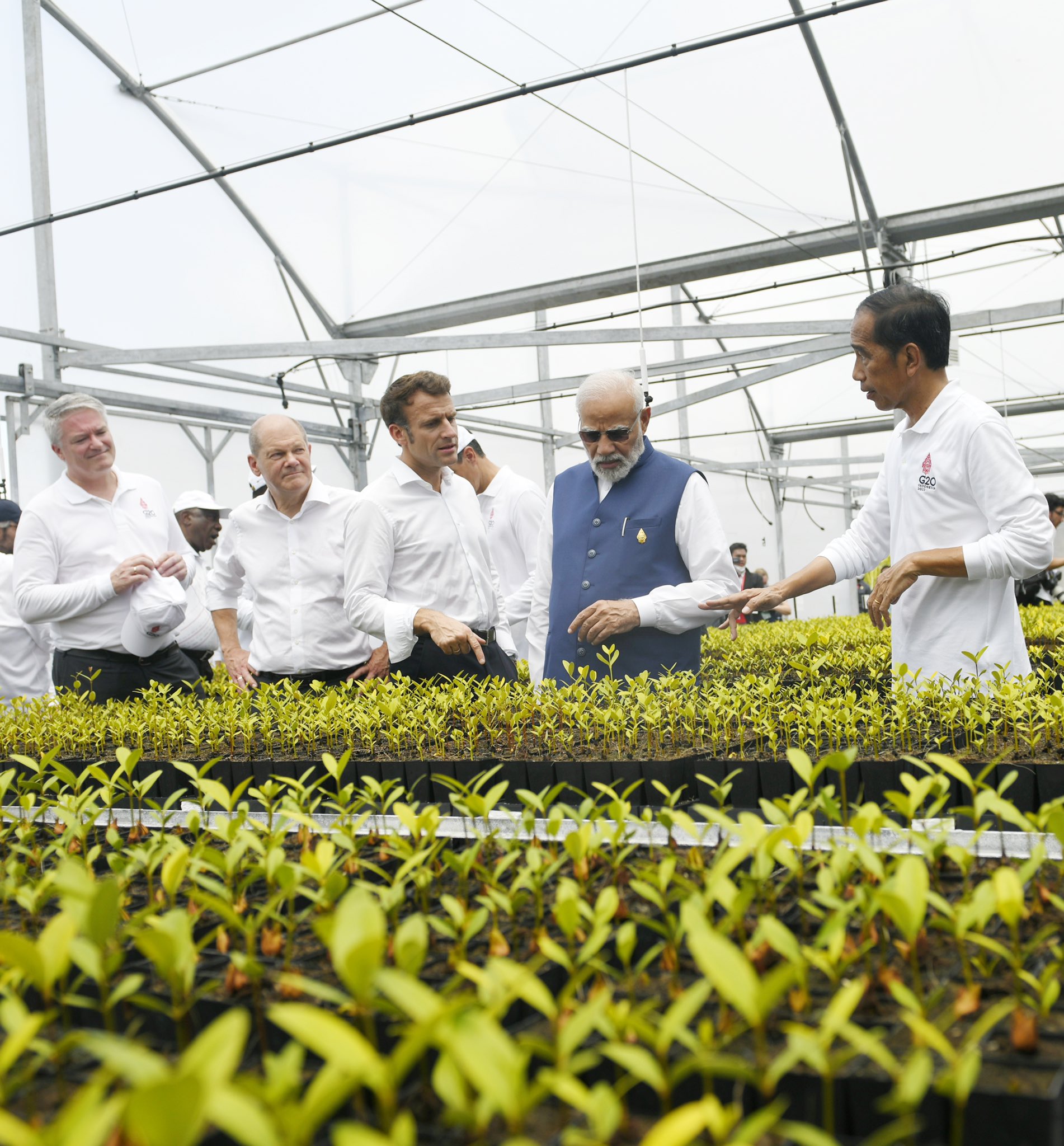 PM Modi Visits Mangrove Forest, Plants Trees with Other World Leaders ...