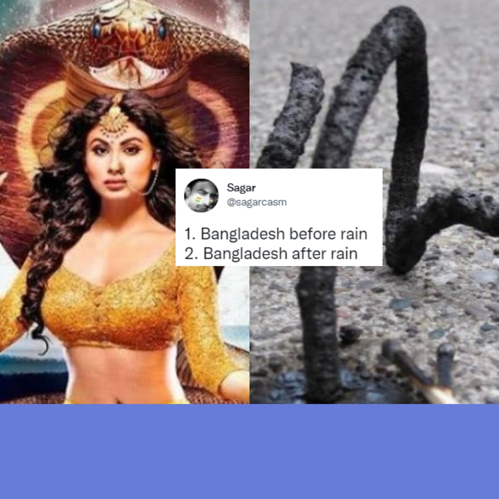 Memes Against Bangladesh Babar Azam Falls For Duck; Fans Spark Meme