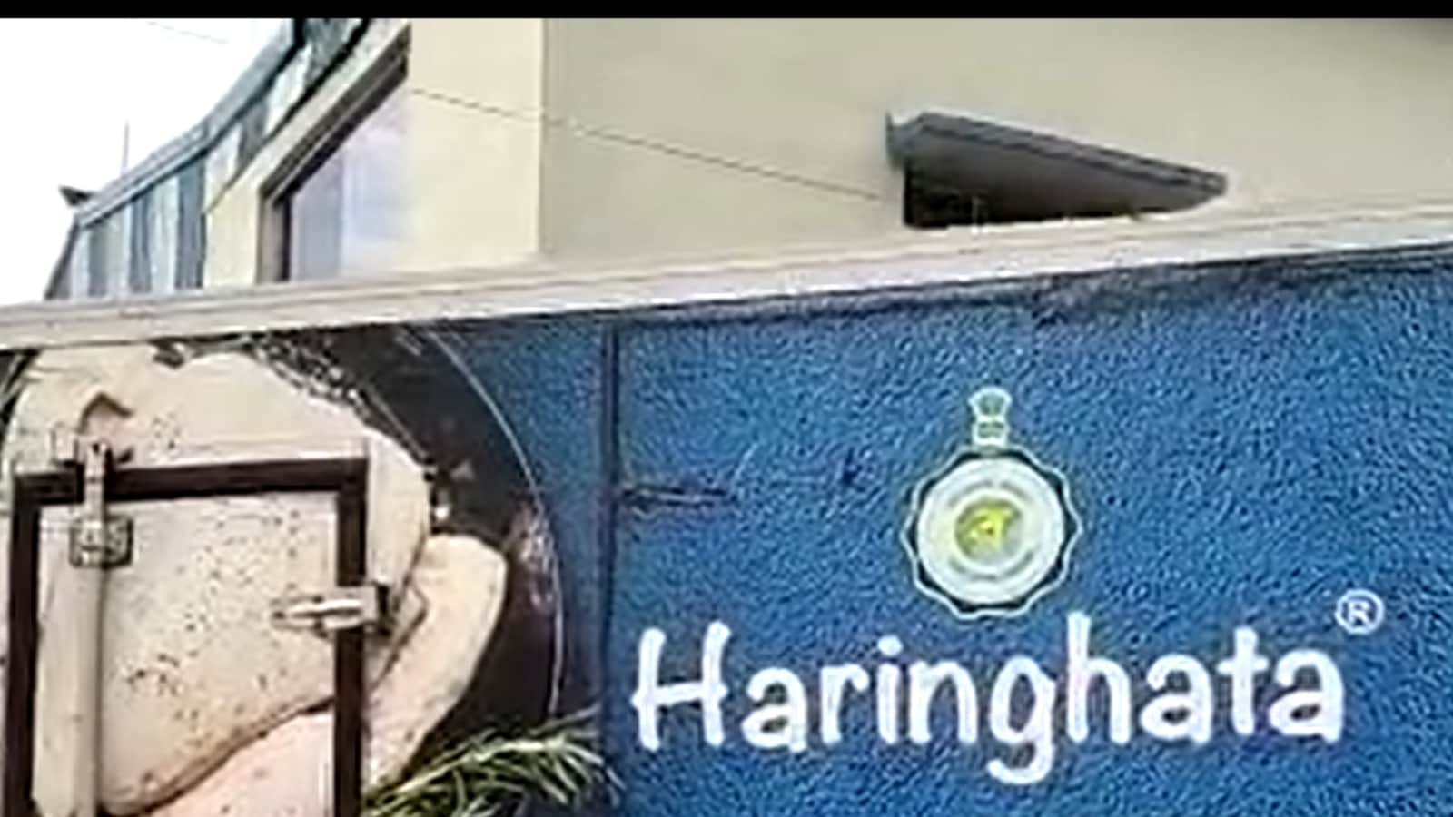 Bengal's Popular Meat 'Haringhata' to Reach Qatar For FIFA World Cup ...