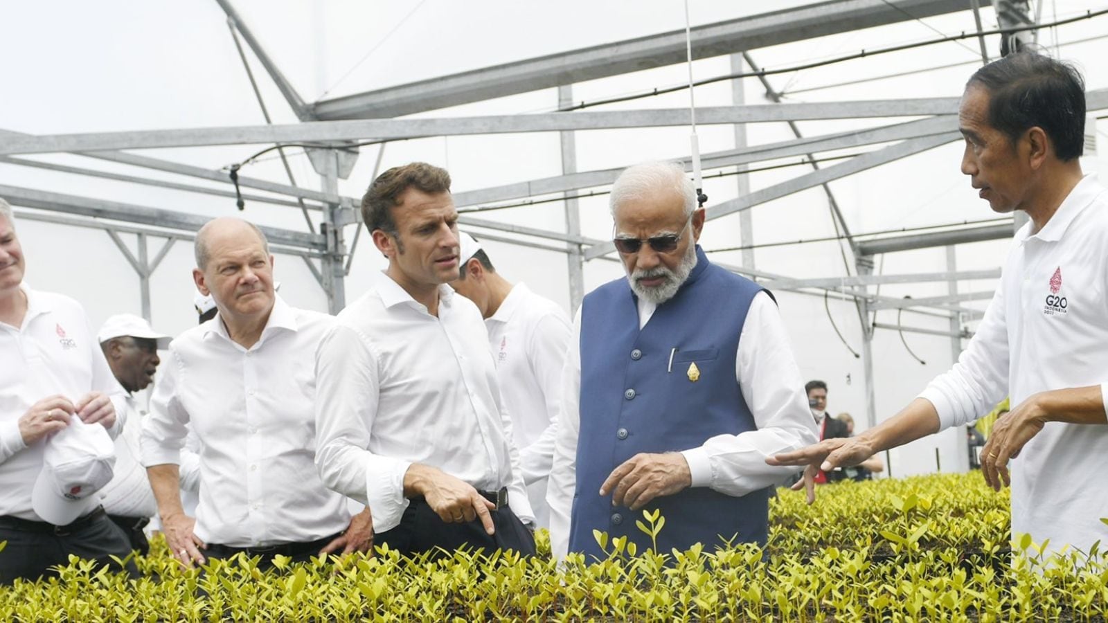 PM Modi Visits Mangrove Forest, Plants Trees with Other World Leaders ...