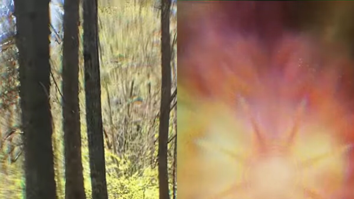Video Shows What Psychedelic Visuals Look Like and The Impact They Have ...
