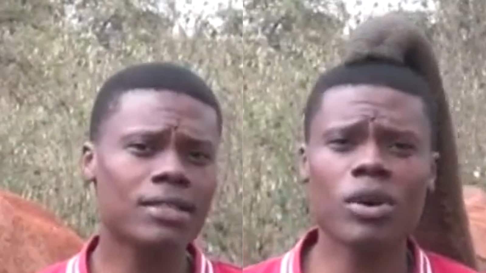 Elephant Interrupts TV Reporter During Broadcast, Reddit Video Goes ...