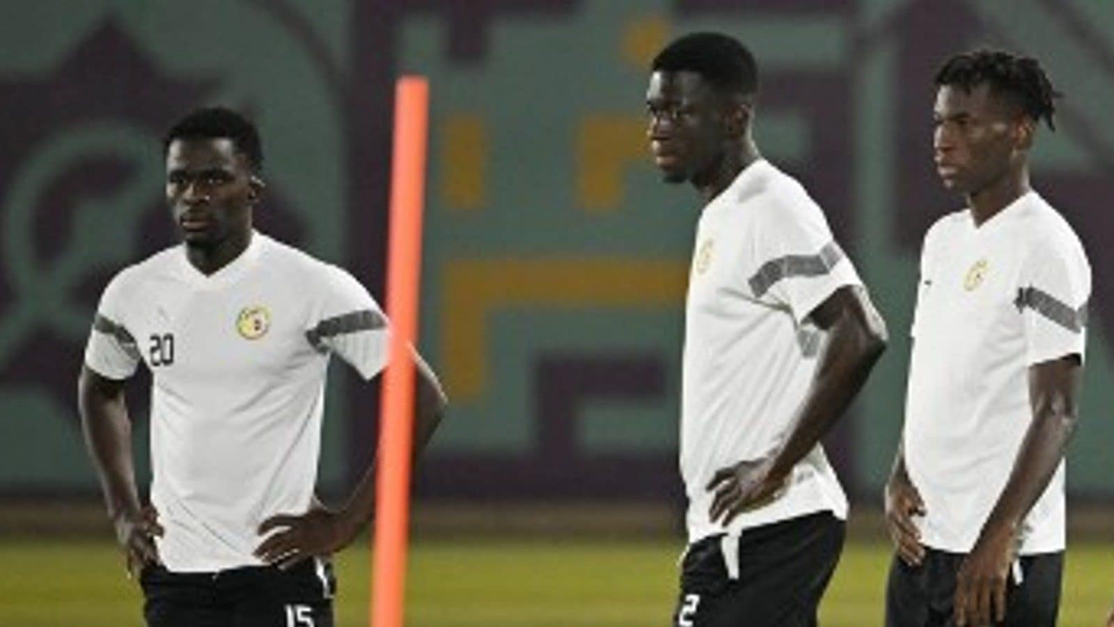 SEN vs NED Dream11 Team Prediction: Check Captain, Vice-Captain, and ...