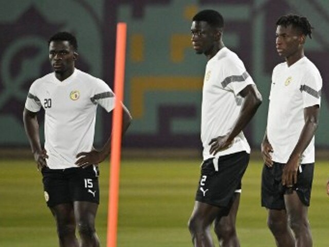 SEN vs NED Dream11 Team Prediction: Check Captain, Vice-Captain, and ...