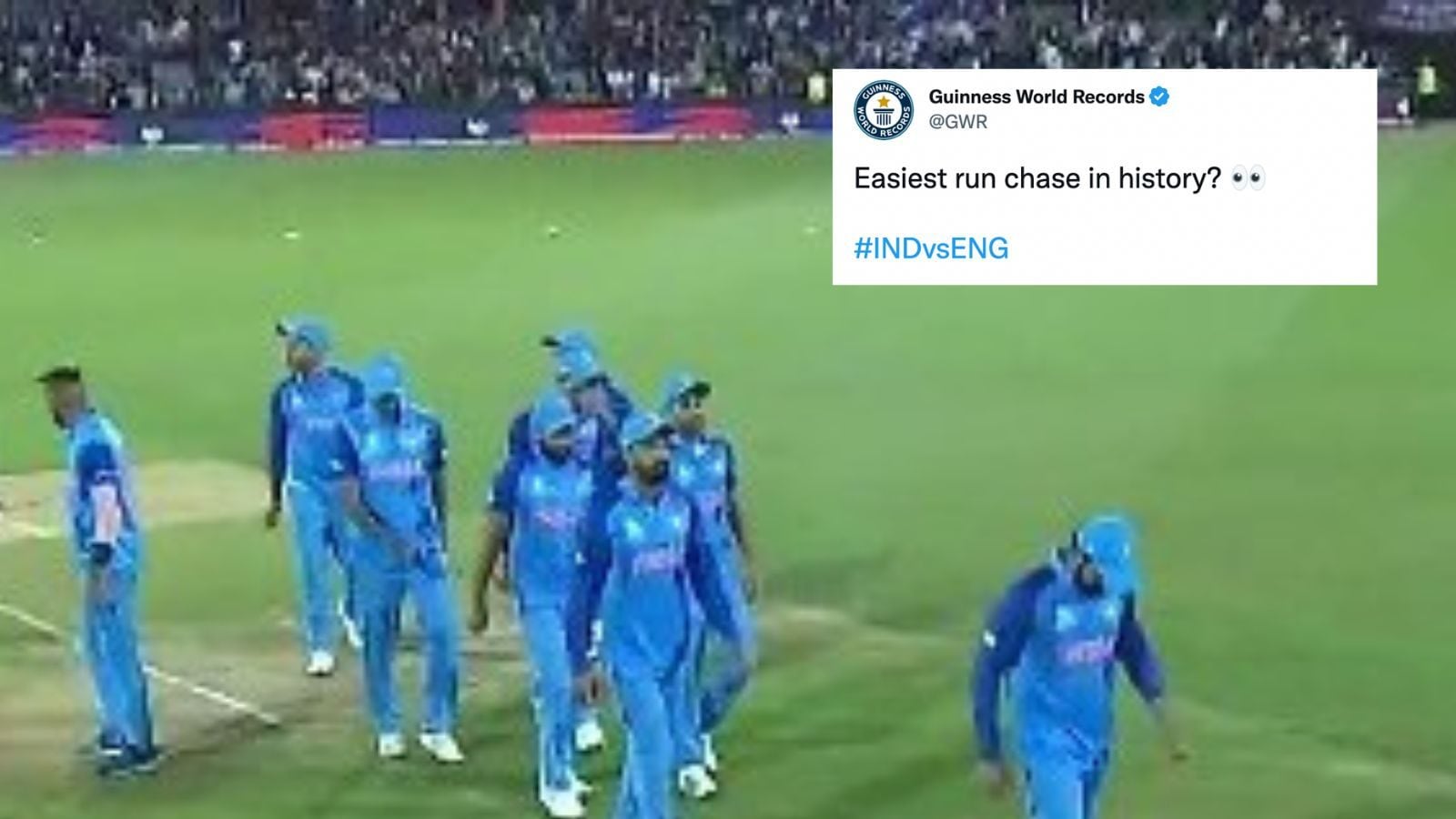 Myntra, Guinness Records Troll India After Team's Semi-final Loss to ...