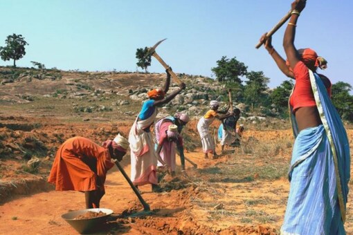 Stressing Gender, Health, Education, Economy, Govt Body to Release ...