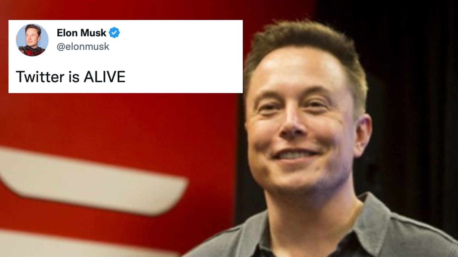 Elon Musk's Response to 'RIP Twitter' Hashtag Goes Viral amid Bluebird ...