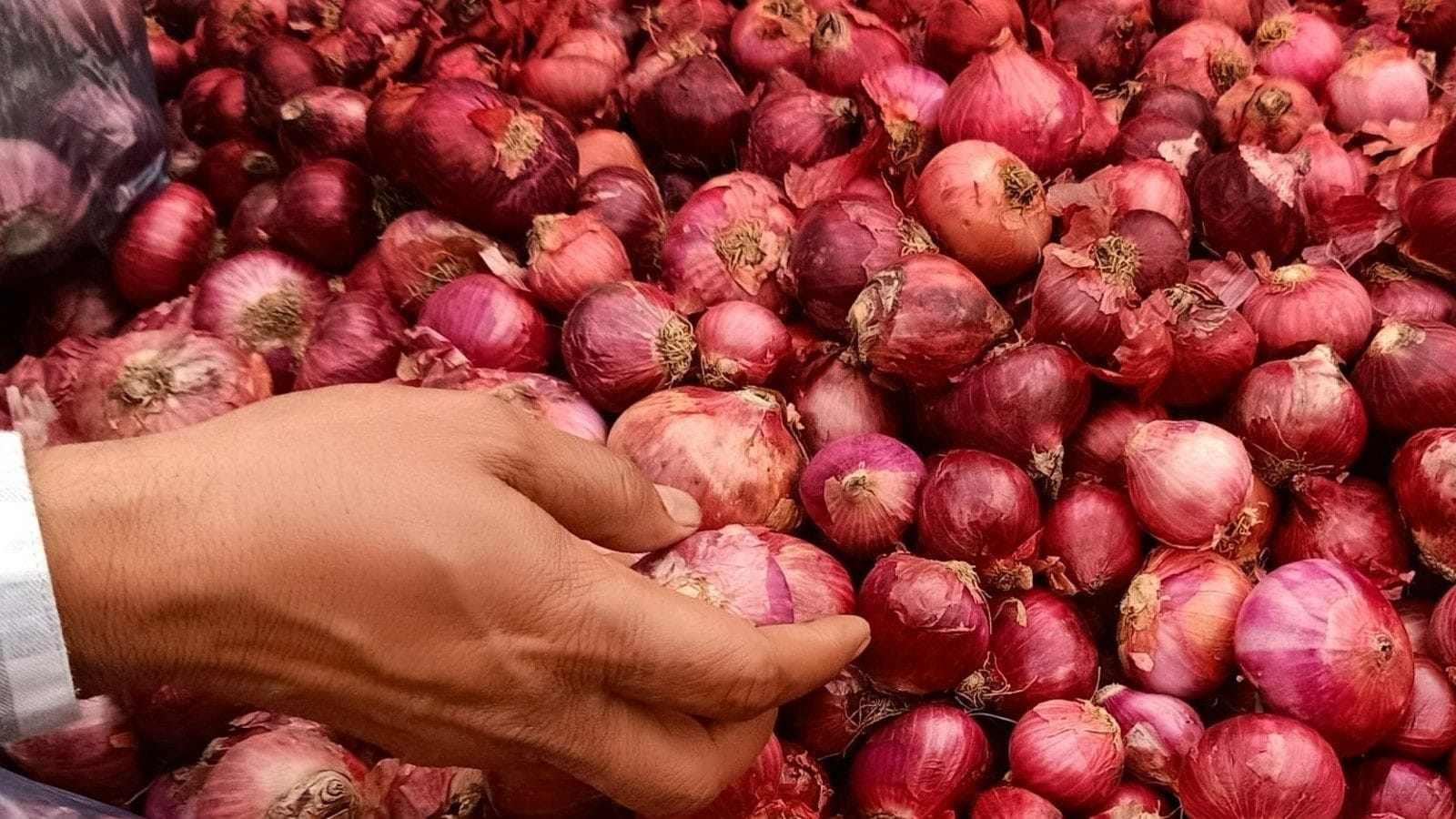 Maha: Farmers Send Onion Parcel to PM to Protest Drop in Prices | India ...