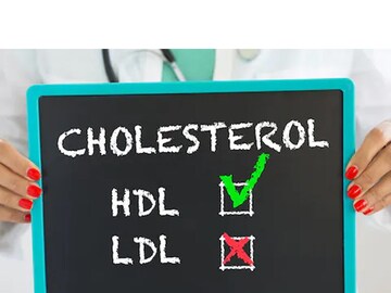 High Cholesterol Levels May Have Devastating Effects On Your Nervous ...