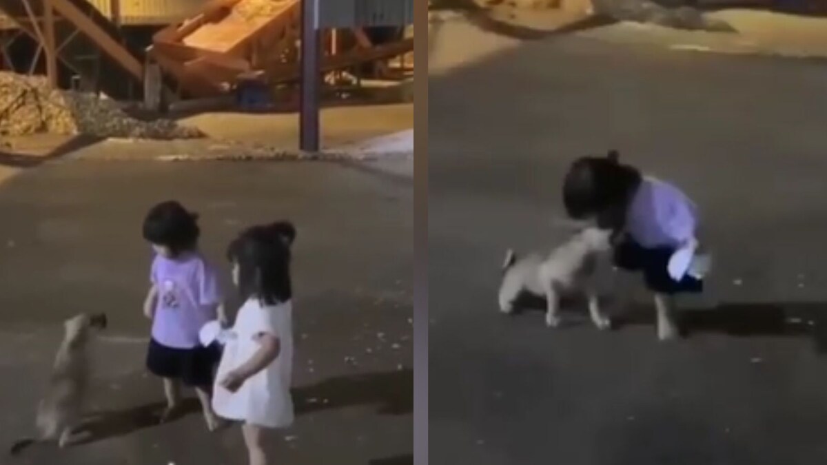Watch: Little Girl Slaps Puppy To Save Her Friend in This Adorable ...