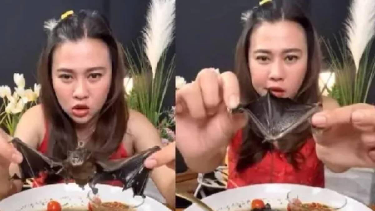 Thai Woman Arrested For Eating Bats in YouTube Video; Know Why It's ...
