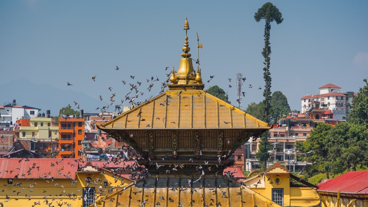 Good News for Devotees of Pashupatinath As New Temple Built in Bengal's ...