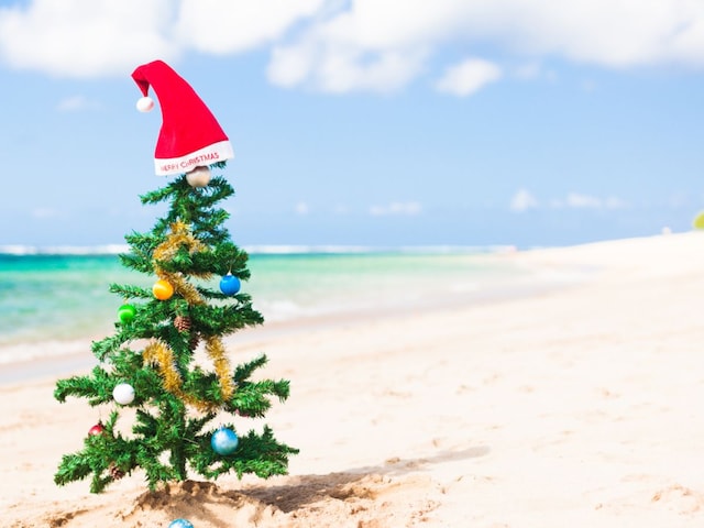 Christmas 2022: Best Places In Goa To Celebrate The Festival Of Joy ...