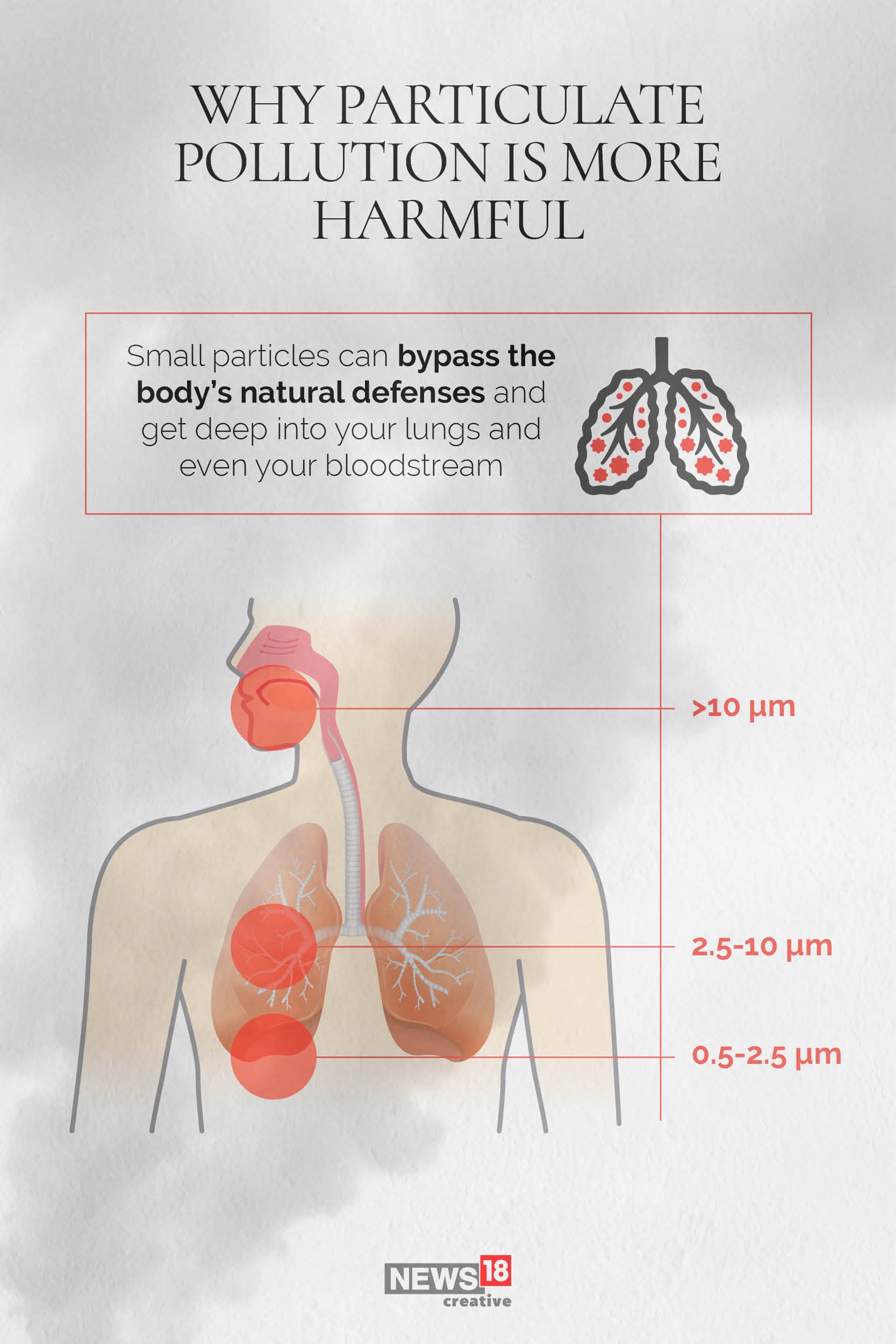 Delhi Air Pollution: What Happens When You Breathe Bad Air? Here's How ...