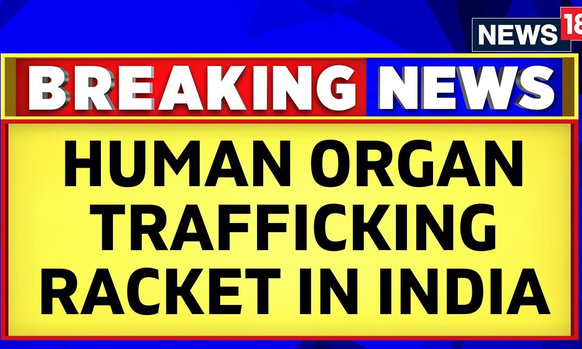 Human Organ Trafficking | India's Biggest Human Organs Racket ...